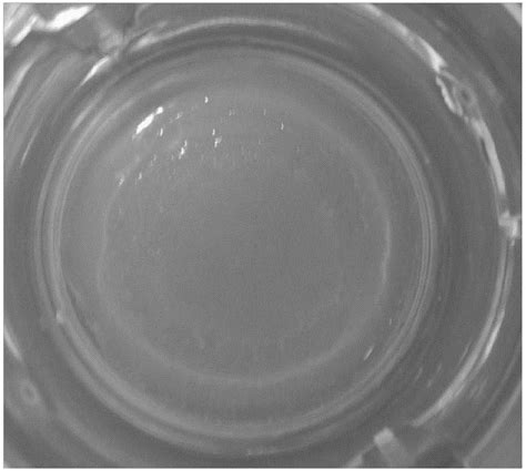 Artificial Skin And Preparation Method Thereof Eureka Patsnap