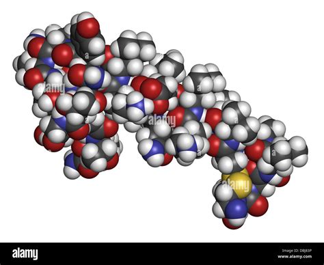 Calcitonin Structure