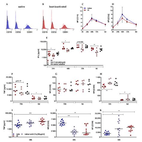 Effects Of Serum Heat Inactivation On Complement Bearing Immune