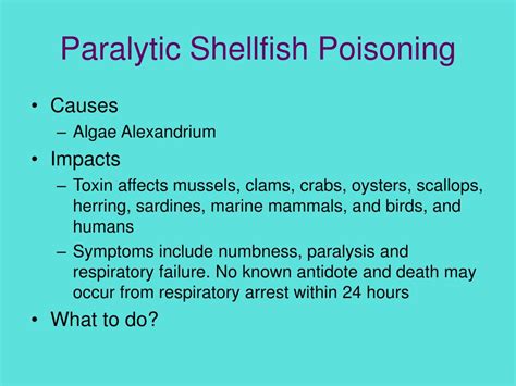 Ppt Protists Of The Ocean Powerpoint Presentation Free Download Id