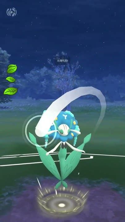 포켓몬고 마스터리그 플라제스 때문에 겜 터져버린 상대 ㅋㅋㅋ문포스 꽃보라 조합 달달하다 Youtube