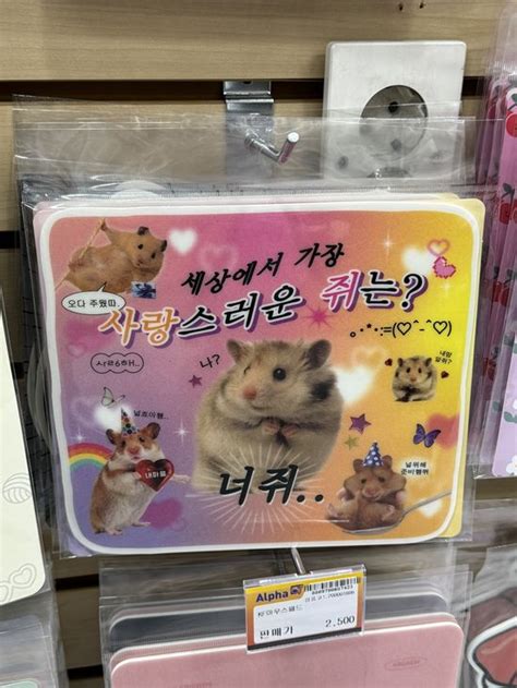 짤에 있는 은실 성님의 핀 직장 유머 웃긴 인용구 직장 밈