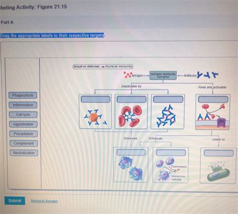 Solved It 1 Homework Endo Heart Ncept Map Determining