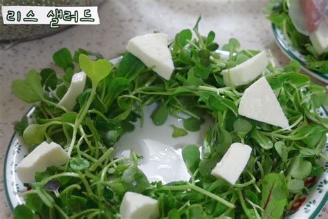 크리스마스 홈파티 음식 메뉴 리스샐러드