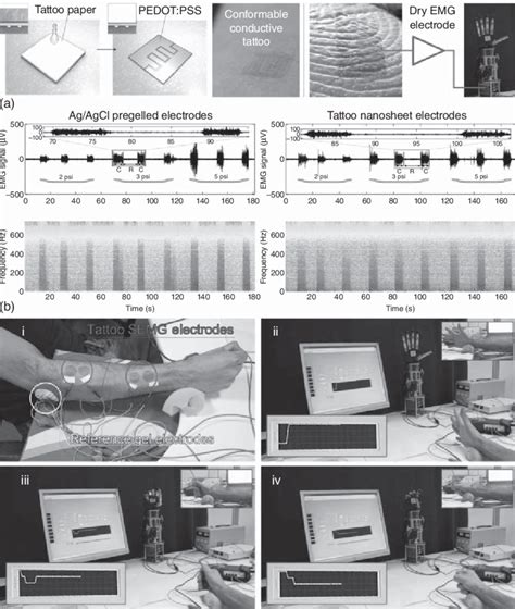 13 A Concept Of Temporary Tattoo Conductive Nanosheet As Skin Contact Download Scientific
