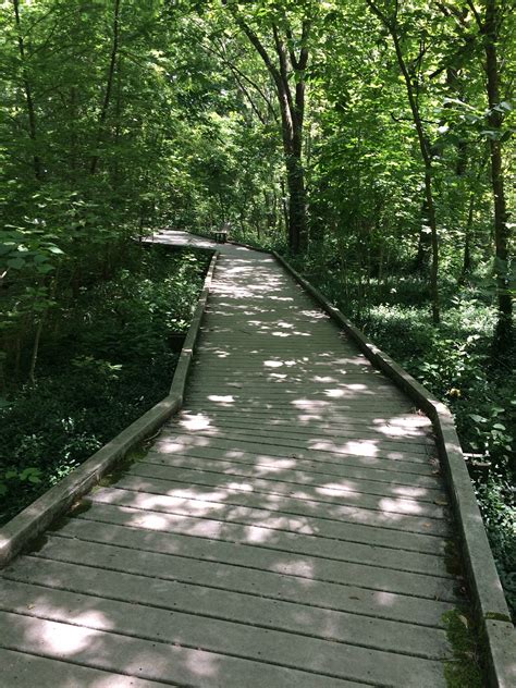 Gallery The Lyons Den