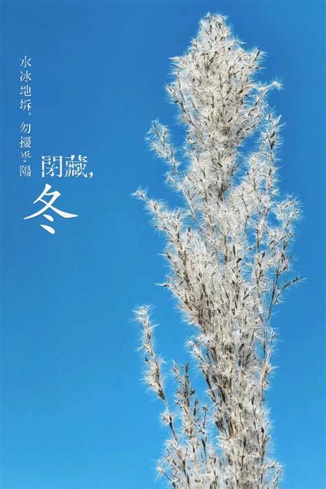 什么叫见过世面 知乎