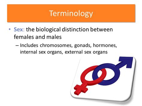 Chapter 2 Gender Chapter Sections 2 1 Terminology Of Gender Roles 2 2