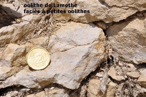 Oolithe De Lamothe Description
