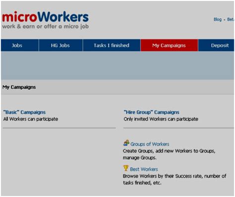 5 Steps To Successful Hg Campaigns Microworkers