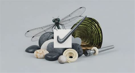 Cultural Preservation → Term Cultural Preservation → Term