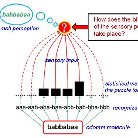 The Binding Problem Schematic Illustration Of How The Information Download Scientific Diagram