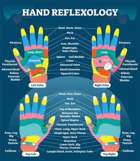 Pressure Point Chart English