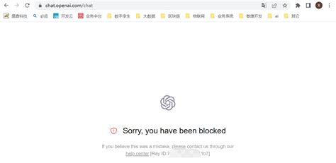 十、chatgpt4 0 chatgpt申请研究人员访问计划 csdn博客
