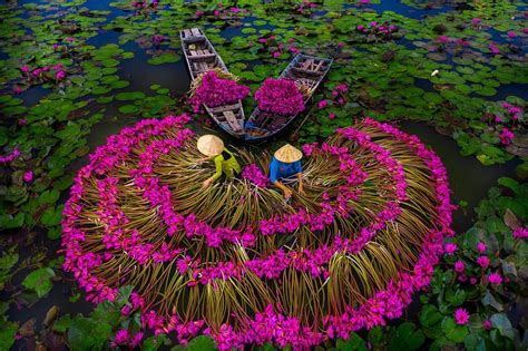 Ưu Đãi Tour Biển Đảo Miền Trung Cho Khách Đặt Trước Dealtoday 2025