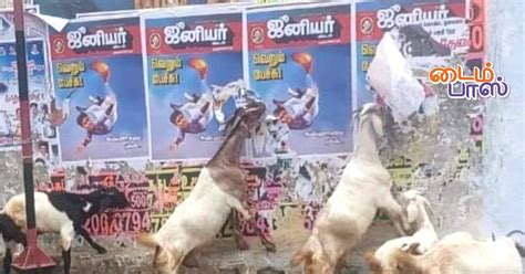 அண்ணாமலை ஆர்மி டைம்பாஸ் மீம்ஸ் Annamalai Army Timepassonline Memes