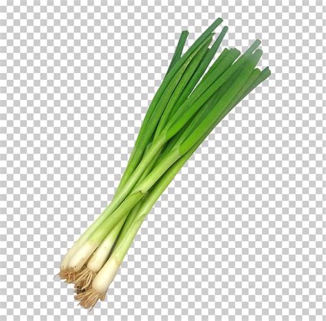 Leek Png Clipart Leek Free Png Download