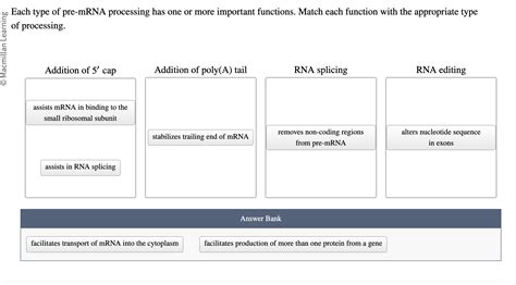 Solved Each Type Of Pre Mrna Processing Has One Or More