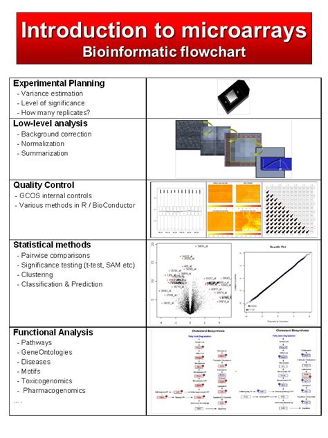 Introduction To Affymetrix Microarrays Ppt Video Online Download
