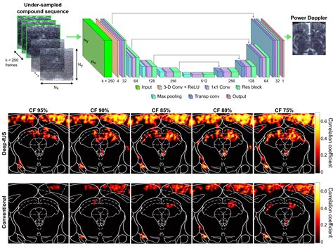 Research Di Ianni Lab