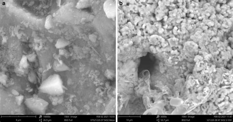 Surface Morphology Of A Sio2b Kfsio2 20550 Download Scientific Diagram