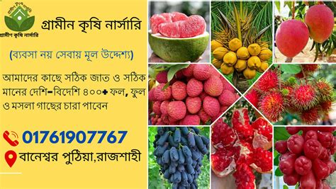 বরেন্দ্র কৃষি নার্সারি On Reels Facebook