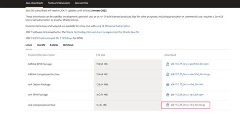 Linux环境安装配置jdk11jdk11下载 Csdn博客