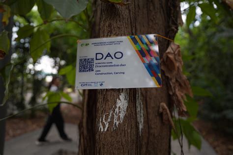 Dao Tree Tag Project