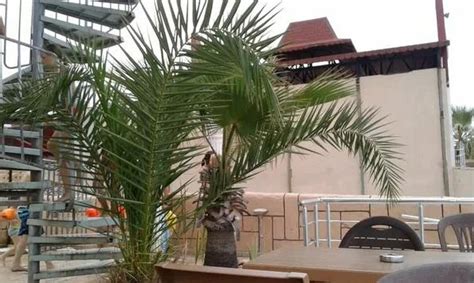 Отель Санбел. Club Hotel Sunbel 4*. Турция. Кемер. Белдиби. Слайд-шоу ...