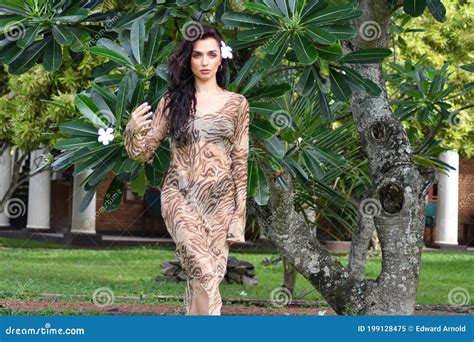 Foto De Una Hermosa Mujer Sexy Con Pelo Rubio Imagen De Archivo Imagen De Resorte Adulto