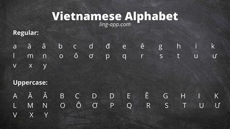 Vietnamese Language Origin Features And Diversity