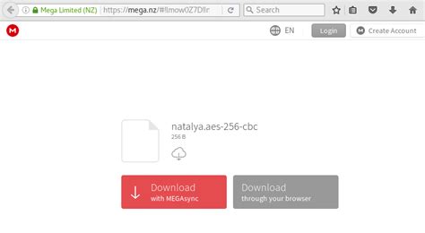 Mega Nz Decryption Key Generator Domebrown