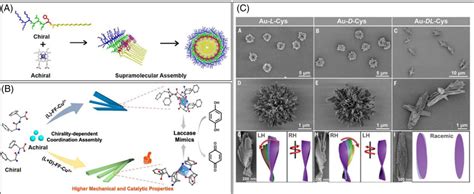 A The Supramolecular Co‐assembly Between Chiral Peptide Amphiphiles