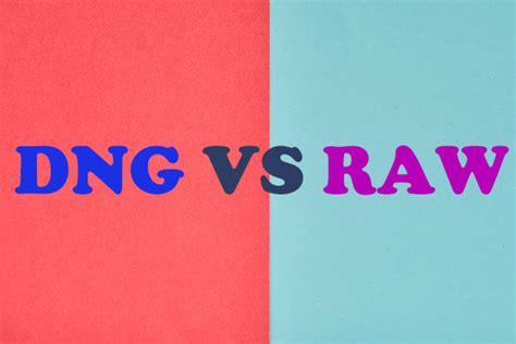 Dng Vs Raw What Is The Difference And Why It Matters