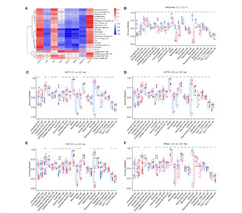 Analysis Of Immune Cell Infiltration A The Correlation Between