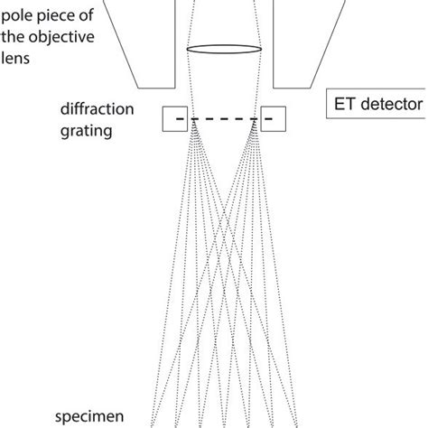 Pdf Diffraction In A Scanning Electron Microscope