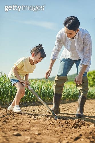 농장 소녀 여성 유치원생 유아교육 채소밭 경작지 여름방학 라이프스타일 공동체밭 견학 사건 심기 움직이는활동 이미지 Jv12048350