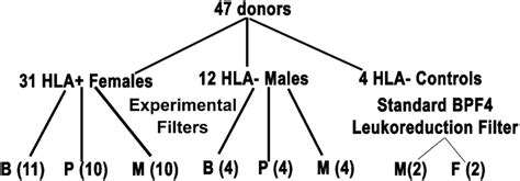 Filtration Algorithm Of Hla Antibody Positive Donors And Download