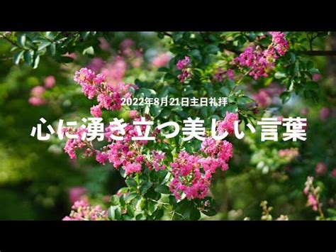2022年8月21日心に湧き立つ美しい言葉 さがみ野教会 礼拝説教