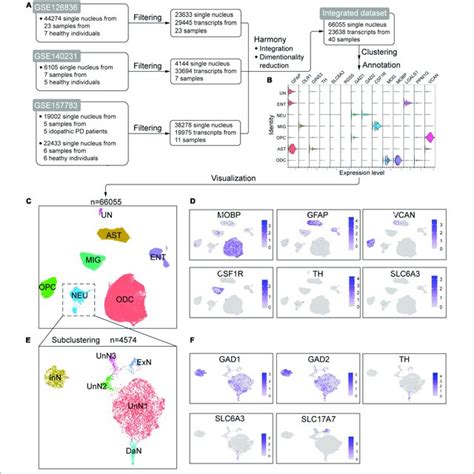 Inference Of Cell Cell Communications By Cellchat Shows Global Download Scientific Diagram