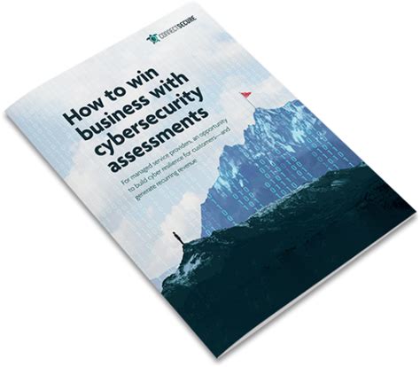 Vulnerability Assessment