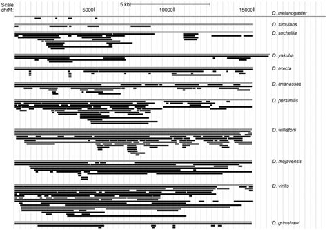 Mitochondrial Origins Of Numts Locations Of Origin Of Numt Sequences Download Scientific