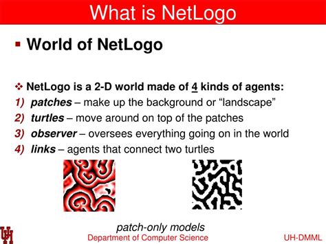 PPT What Is NetLogo PowerPoint Presentation Free Download ID