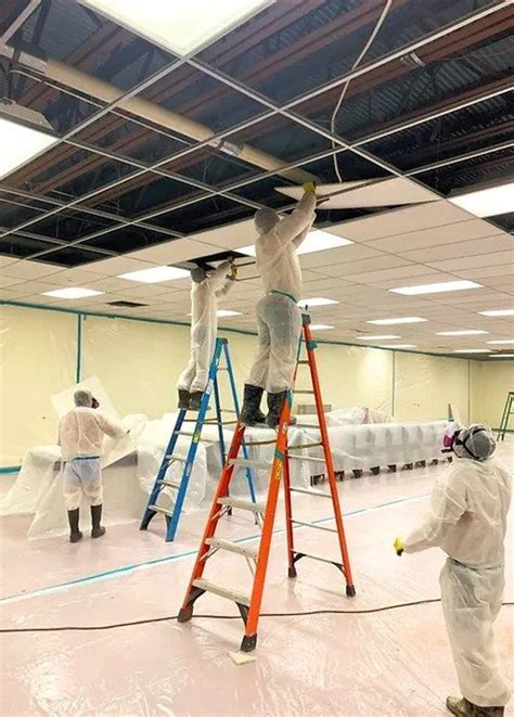 How To Detect Mold In Your Home Signs To Look Out For