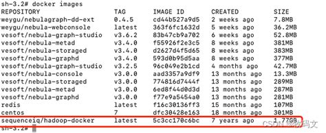 【docker】docker安装hadoop分布式集群使用docker搭建hadoop完全分布式集群 Csdn博客