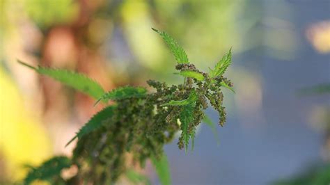 Слънчево и топло ще е времето през деня Новини бг