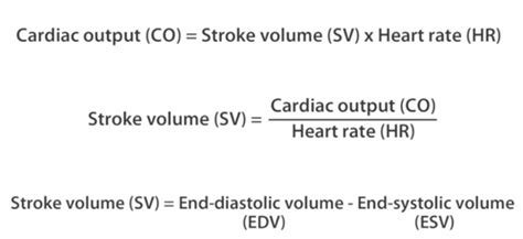 Cardiac Output Flashcards Quizlet