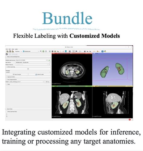 Monai Label Nvidia Docs