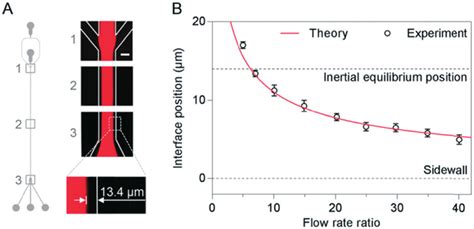 A Microscopic Visualization Of Viscoelastic Interfaces At A Download Scientific Diagram