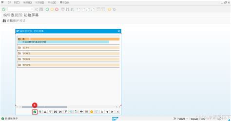 Sd配置 销售凭证设置 定义销售凭证类型 Vov8 Define Sales Document Types Tvak Sap Vov8 Csdn博客